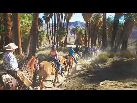 25 Fun Things to Do in Palm Springs with Kids