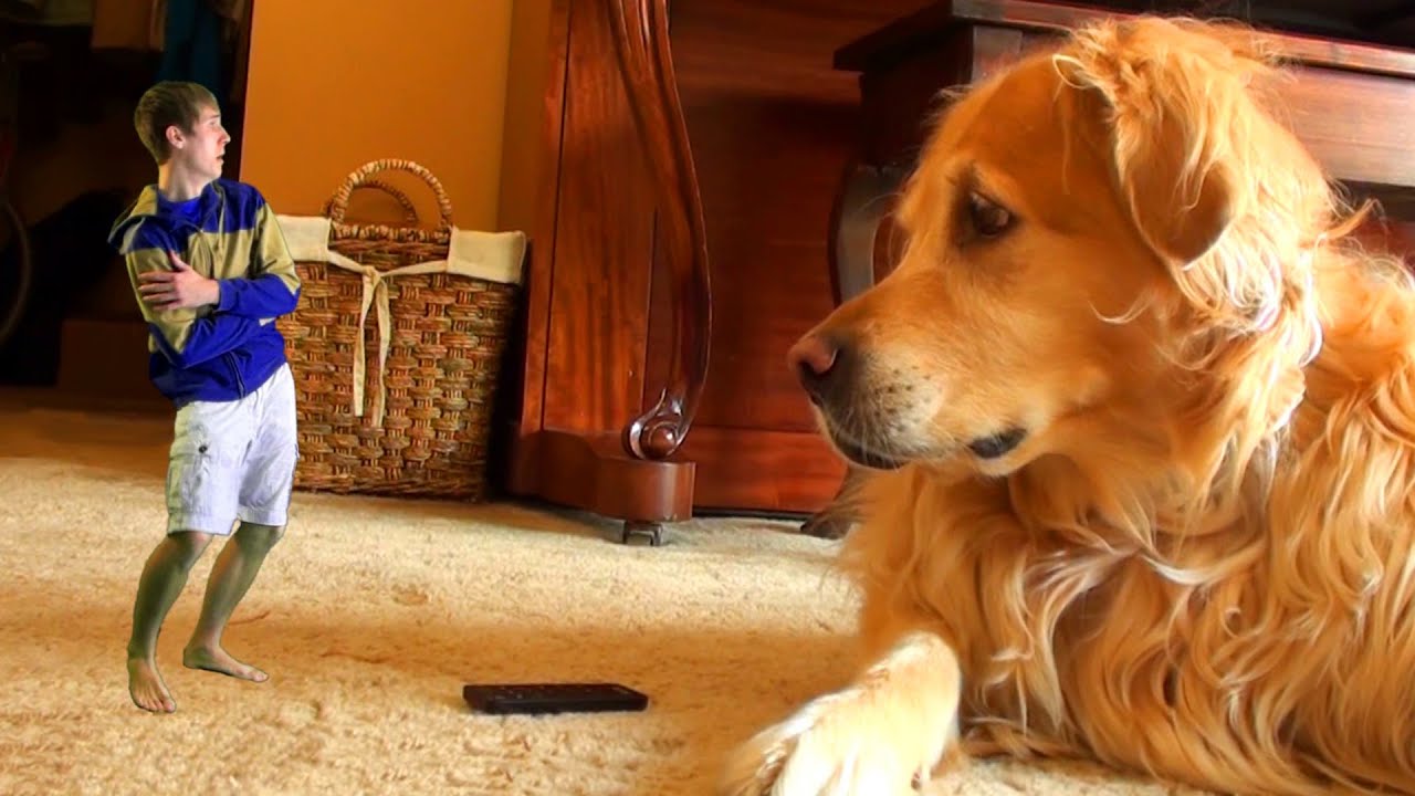 SHRINK RAY 2! - GIANT DOG ENCOUNTER!