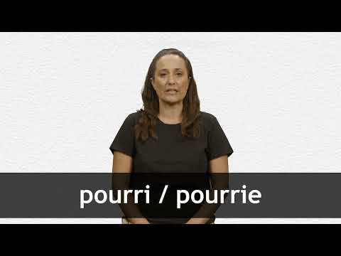 English Translation of “POURRI” | Collins French-English Dictionary