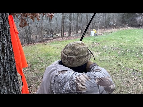 FSOTD 30 December 2023 ~21yds seated