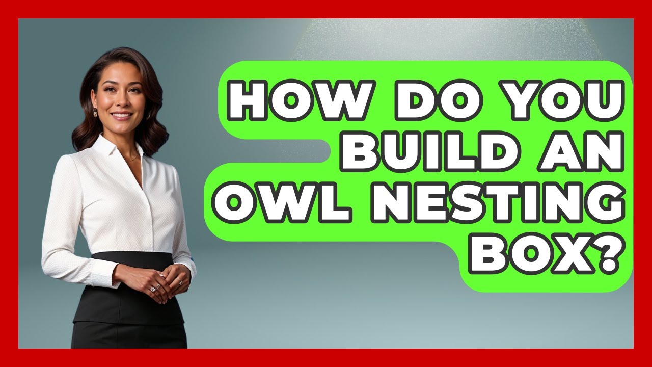 How Do You Build An Owl Nesting Box? - Bird Watching Diaries