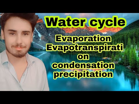 Water cycle defined in easy way with diagram #Geography #hydrology