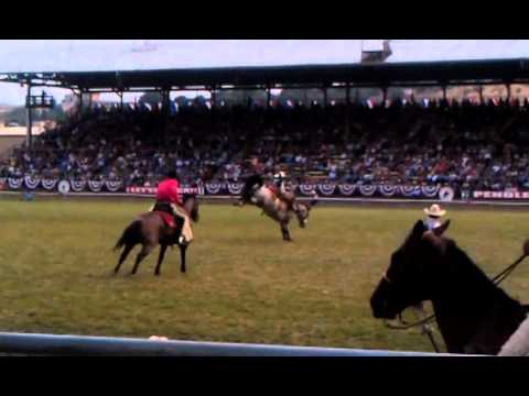 627 Monopoly - Sankey Pro Rodeo