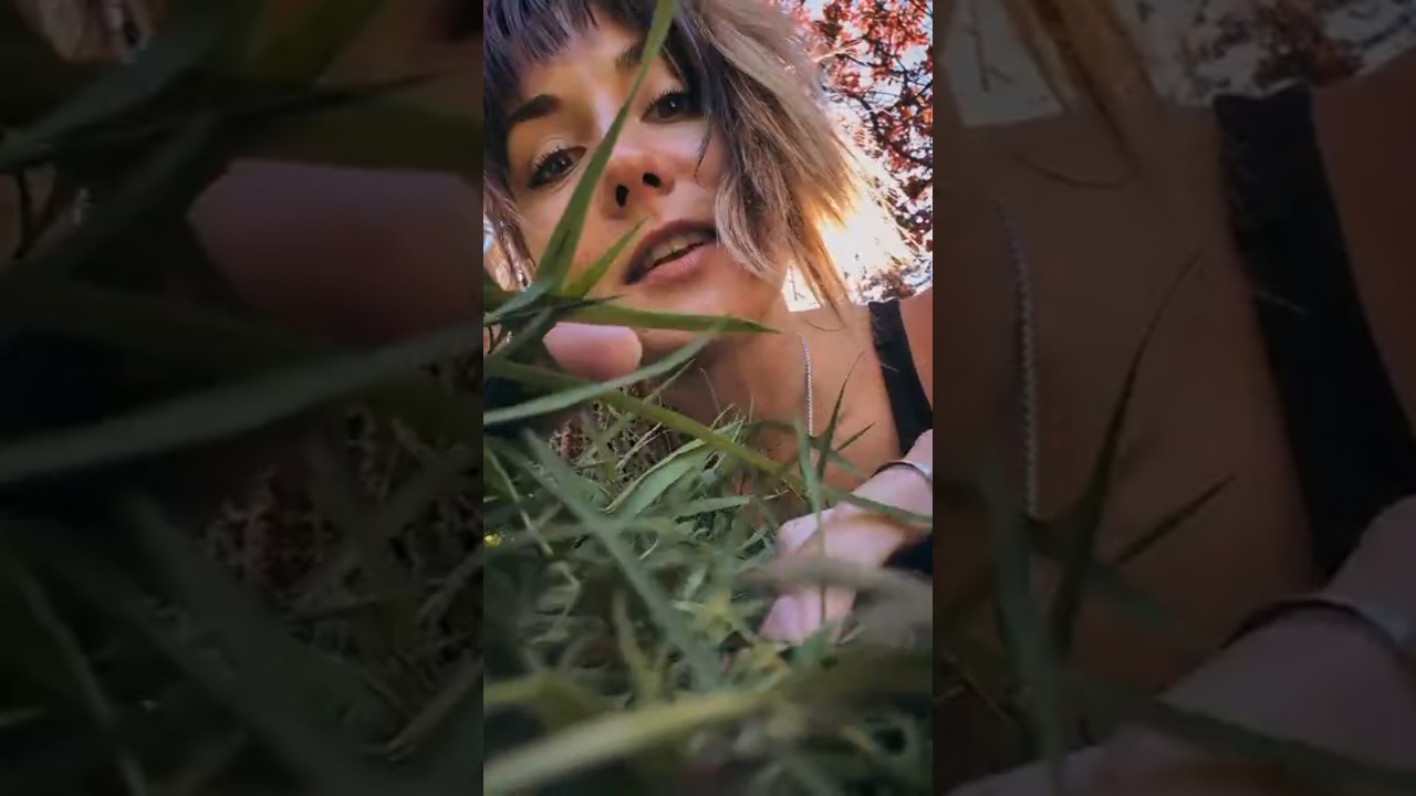Gently Clearing Your Way 🫶🏻🌻ASMR