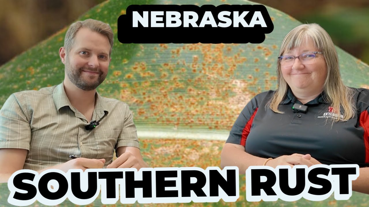Why Southern Rust Exploded on Corn & What to Do Next