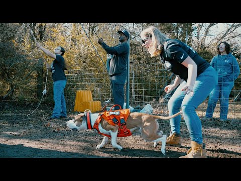Bully Max Sports | Ep. 3 | Champion APBT Breeder