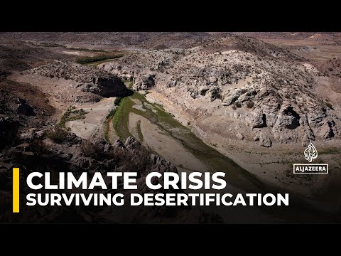 Riyadh UN climate conference: Delegates focus on global desertification ...