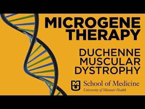 Gene Therapy Could Treat Debilitating Form Of Muscular Dystrophy