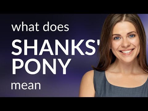 Shanks' pony | SHANKS' PONY meaning