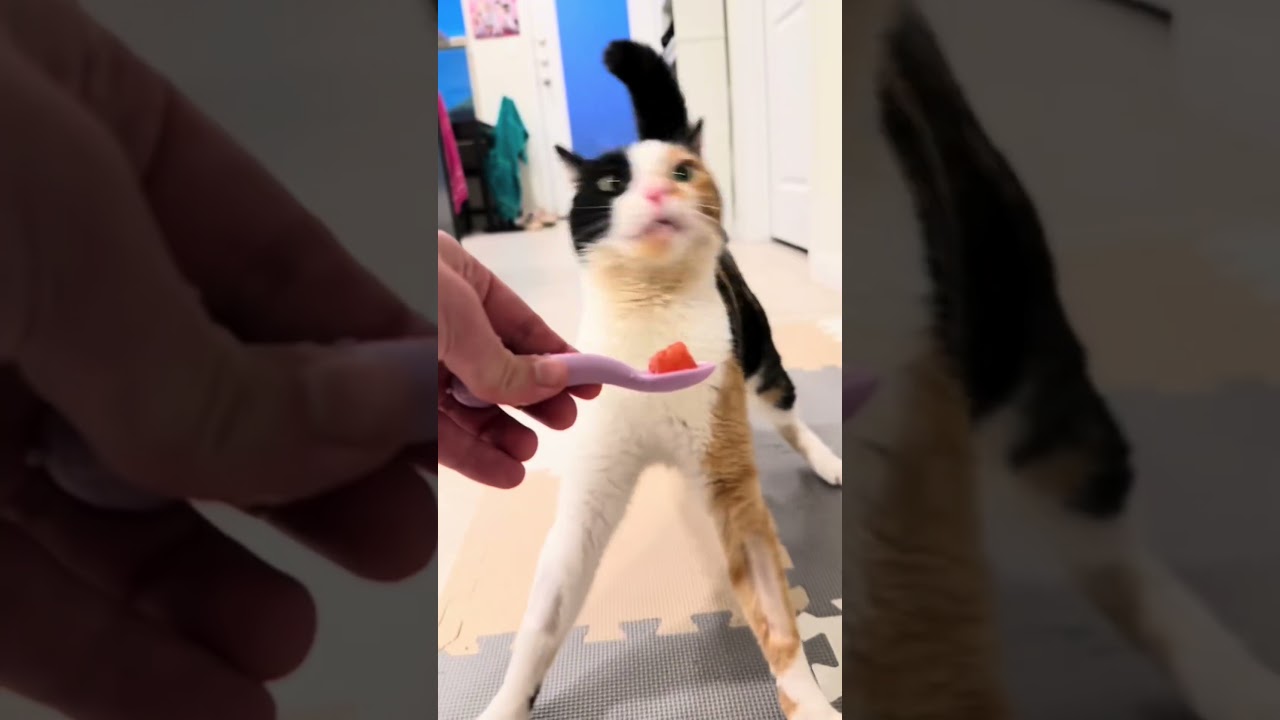 That girl is corrupt