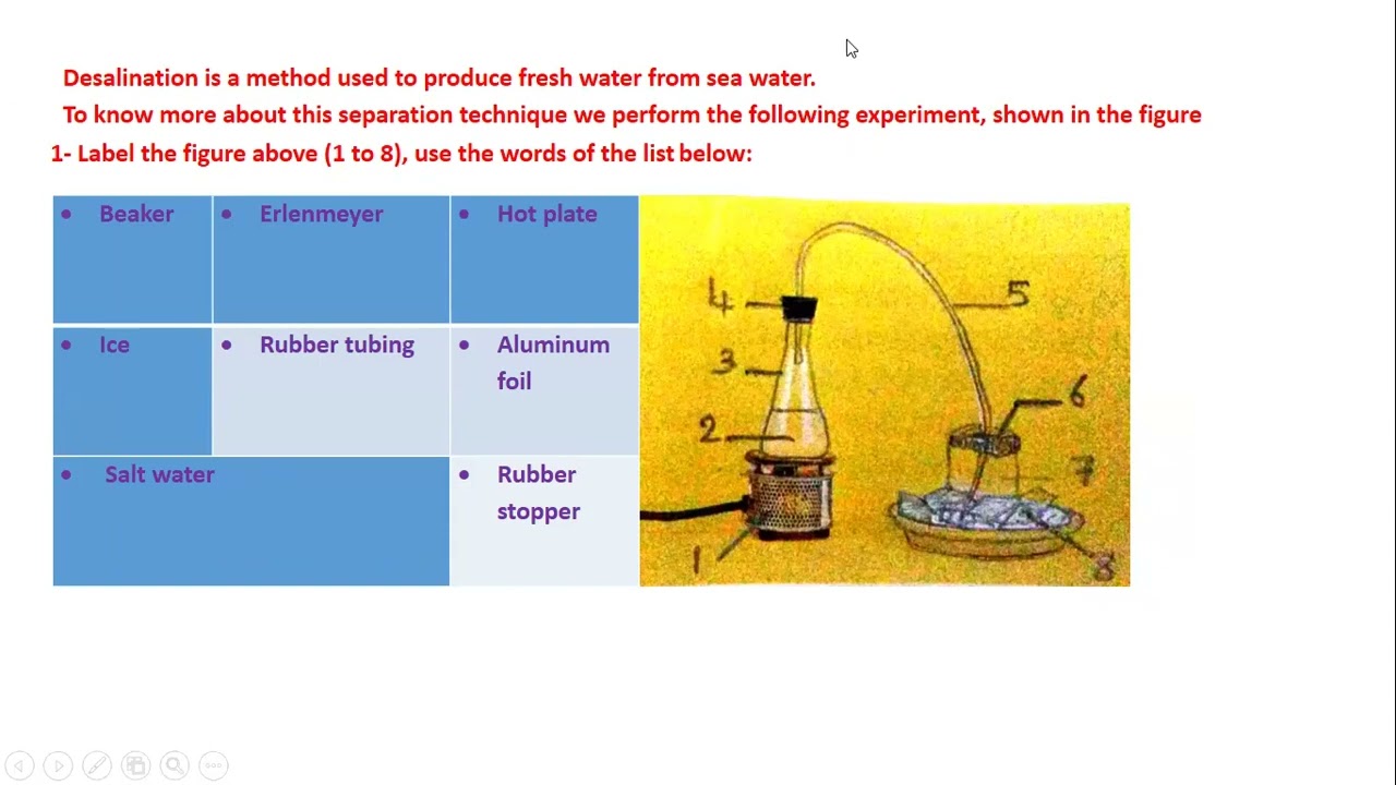 Grade 7  Mixtures, Solutions, Solubility   Exercises   Chemistry