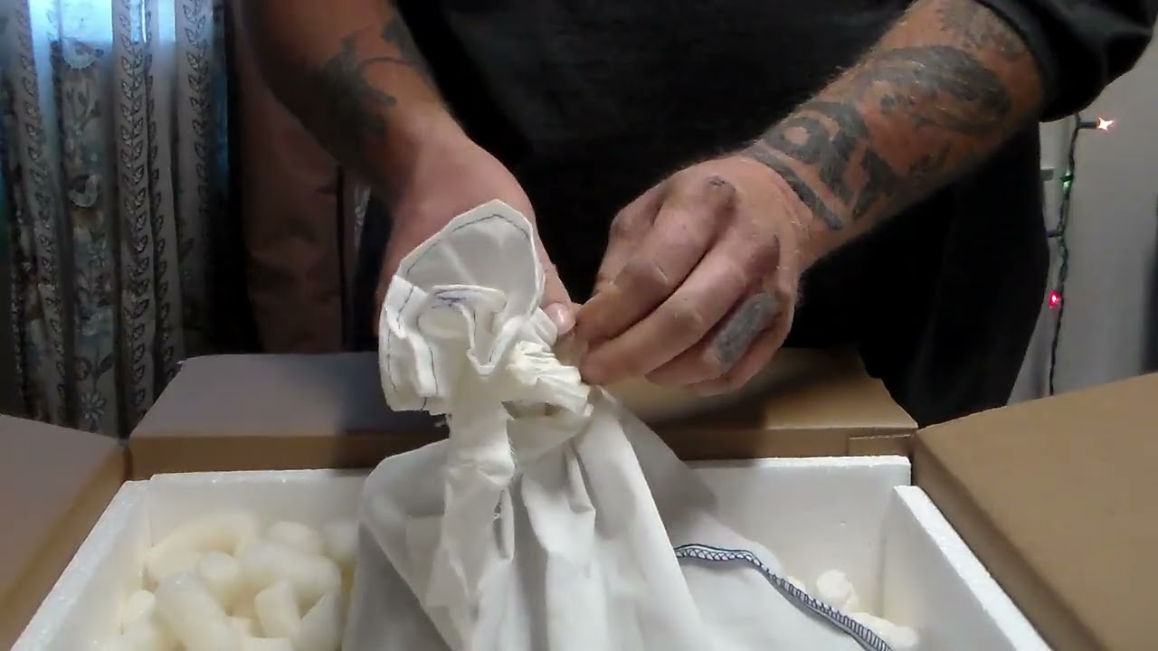 Ball python unboxing from LLLREPTILES