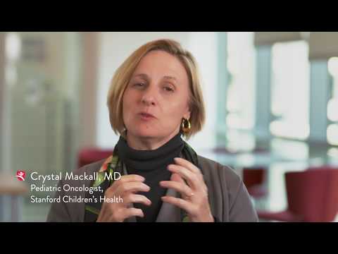Next steps for CAR T cell research