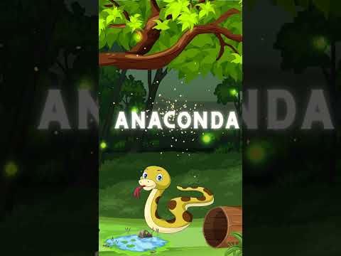 Animal Names that Start with the Letter 'A' Do You Know #animals #childhoodeducation #learn