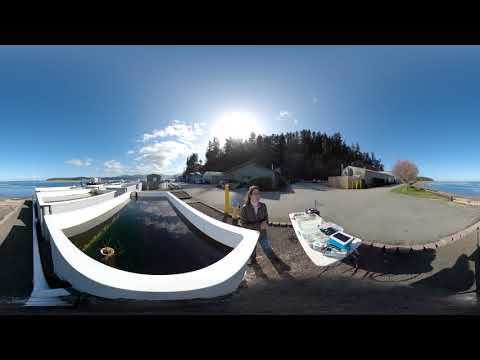Eelgrass Research at PNNL-Sequim
