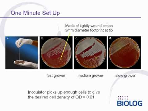 Microbial Identification System at Best Price in India