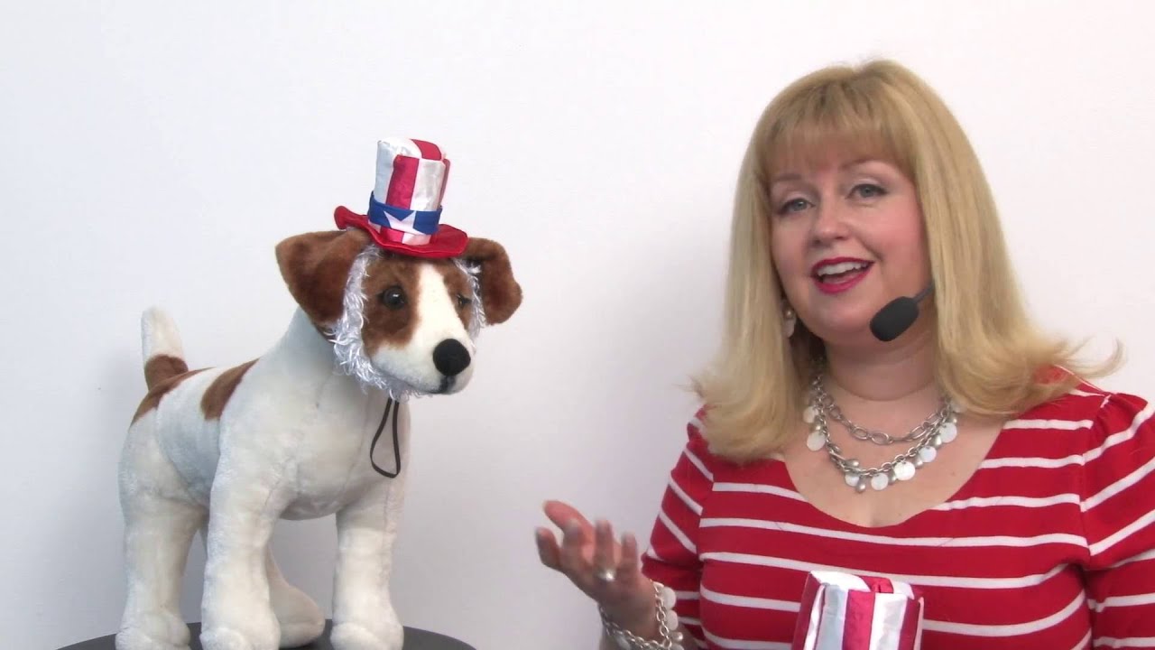Uncle Sam Hat and Beard Dog Costume