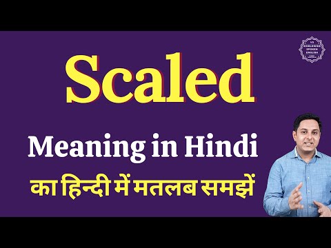 Scaled meaning in Hindi | Scaled ka matlab kya hota hai