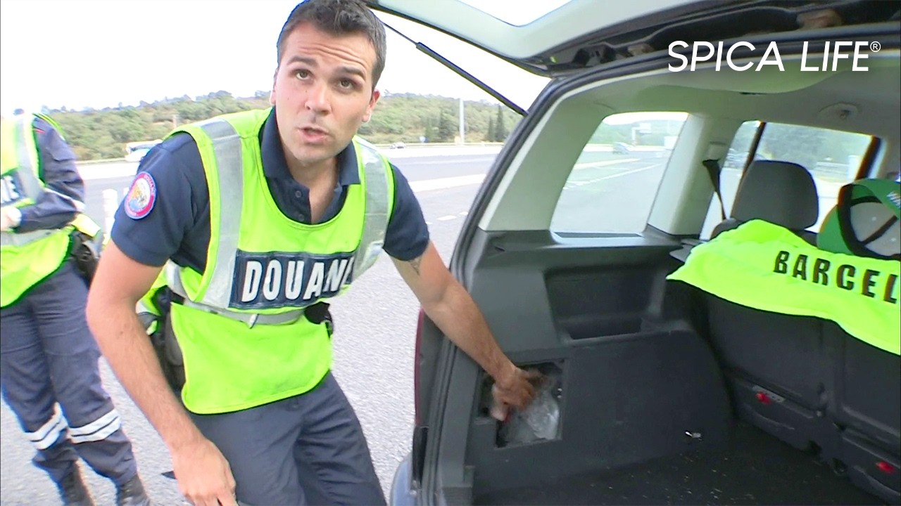 Entre Espagne et France : La gendarmerie renforce son dispositif ...