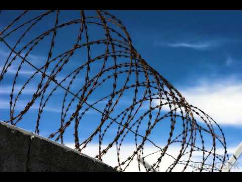 What are the Different Types of Fences