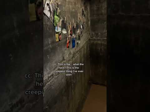 I heard a noise in my basement and you wouldn’t believe what I found. #unexpected #scary #spooky