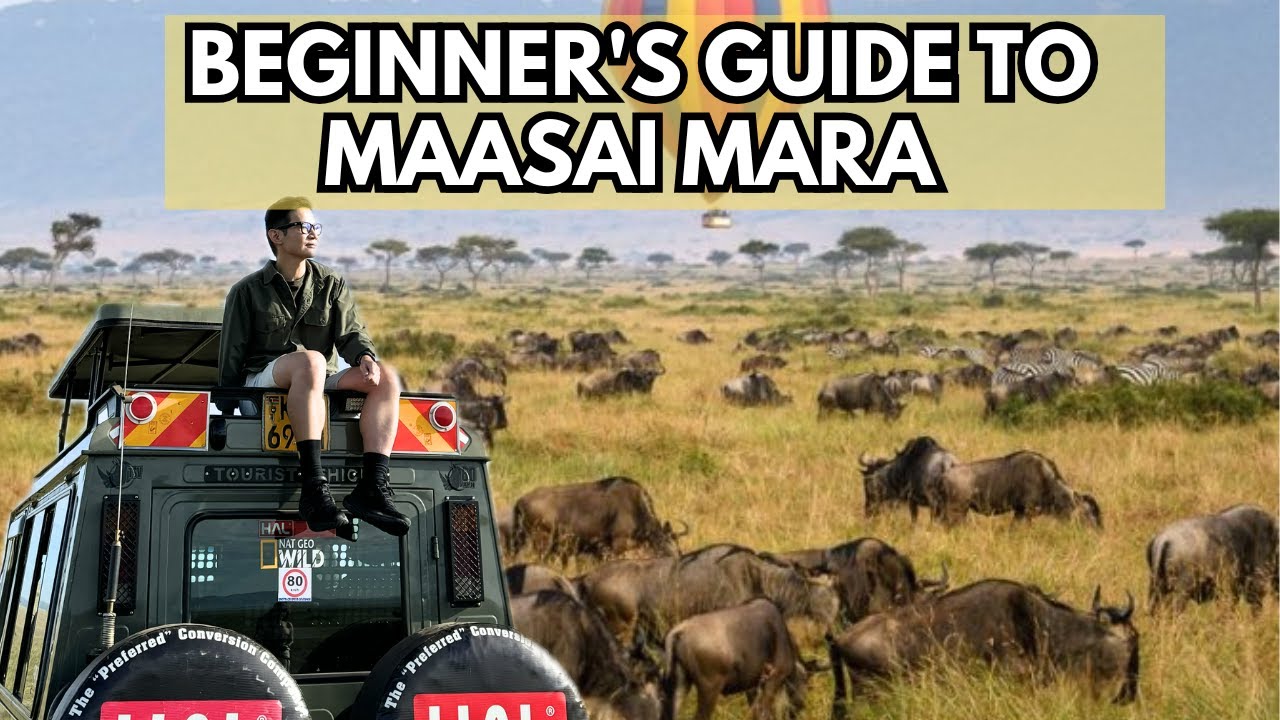 Maasai Mara Kenya Safari Guide - FIRST TIMERS Survival Manual (2026)