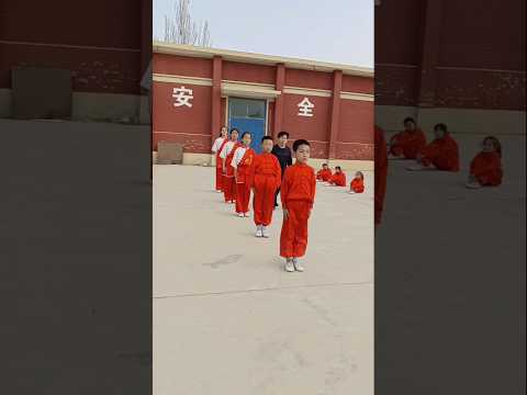 Same movements, different training methods "Fast Growth Plan" "Kung Fu" "Basic Martial Arts Skills"