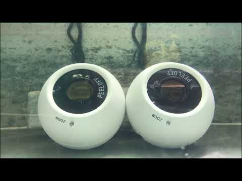 [Longse Housing Test] IP66 Waterproof Test for LIRDN