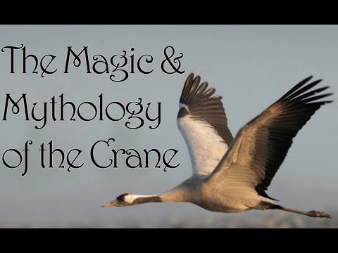 The Magic & Mythology of the Crane
