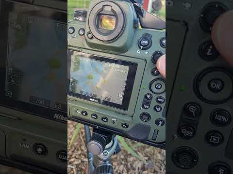 Nikon Z9: Pick Your Shutter Sound