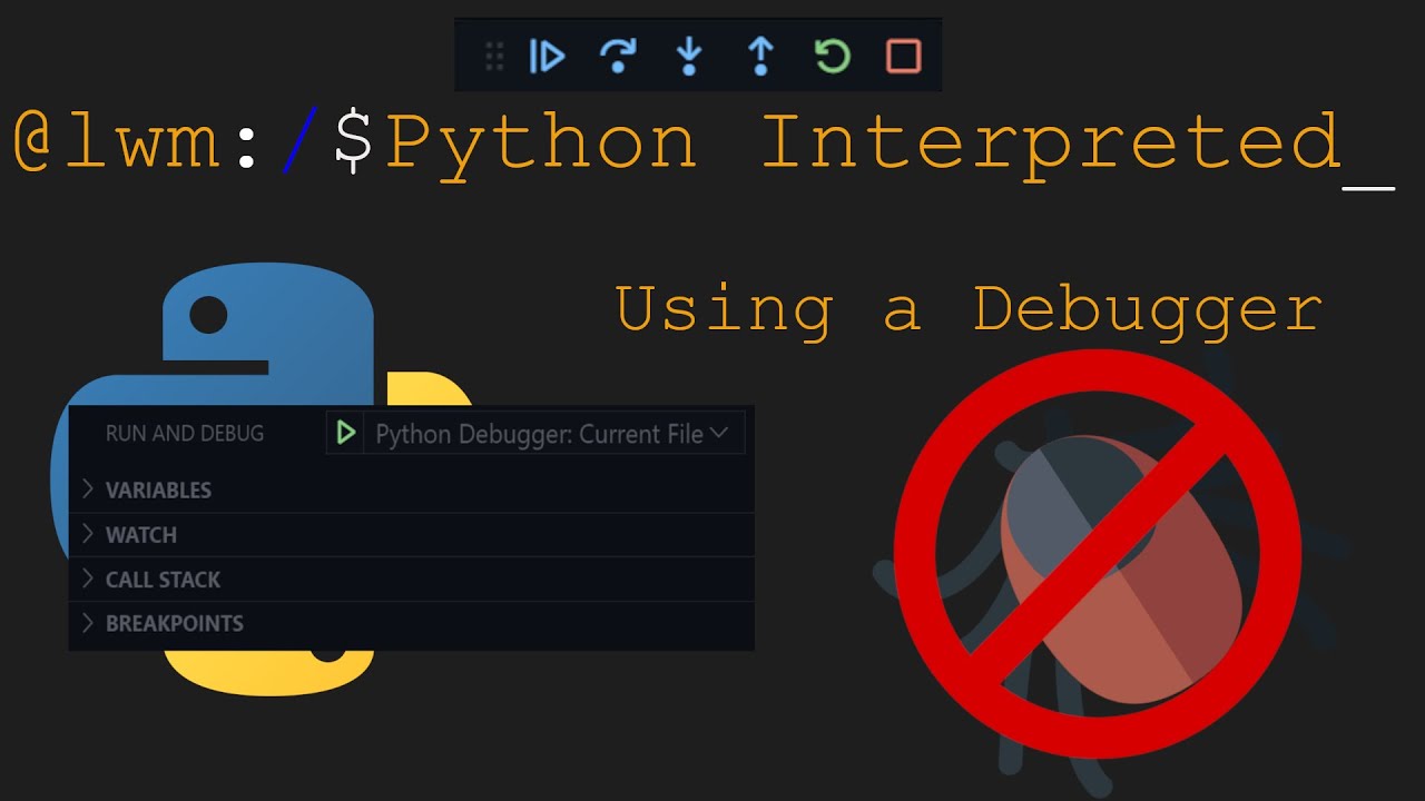Using a Debugger : Python Interpreted