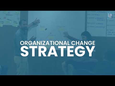What is ICP-CAT (ICAgile Certified Professional in Coaching Agile Transitions)? | Leanpitch