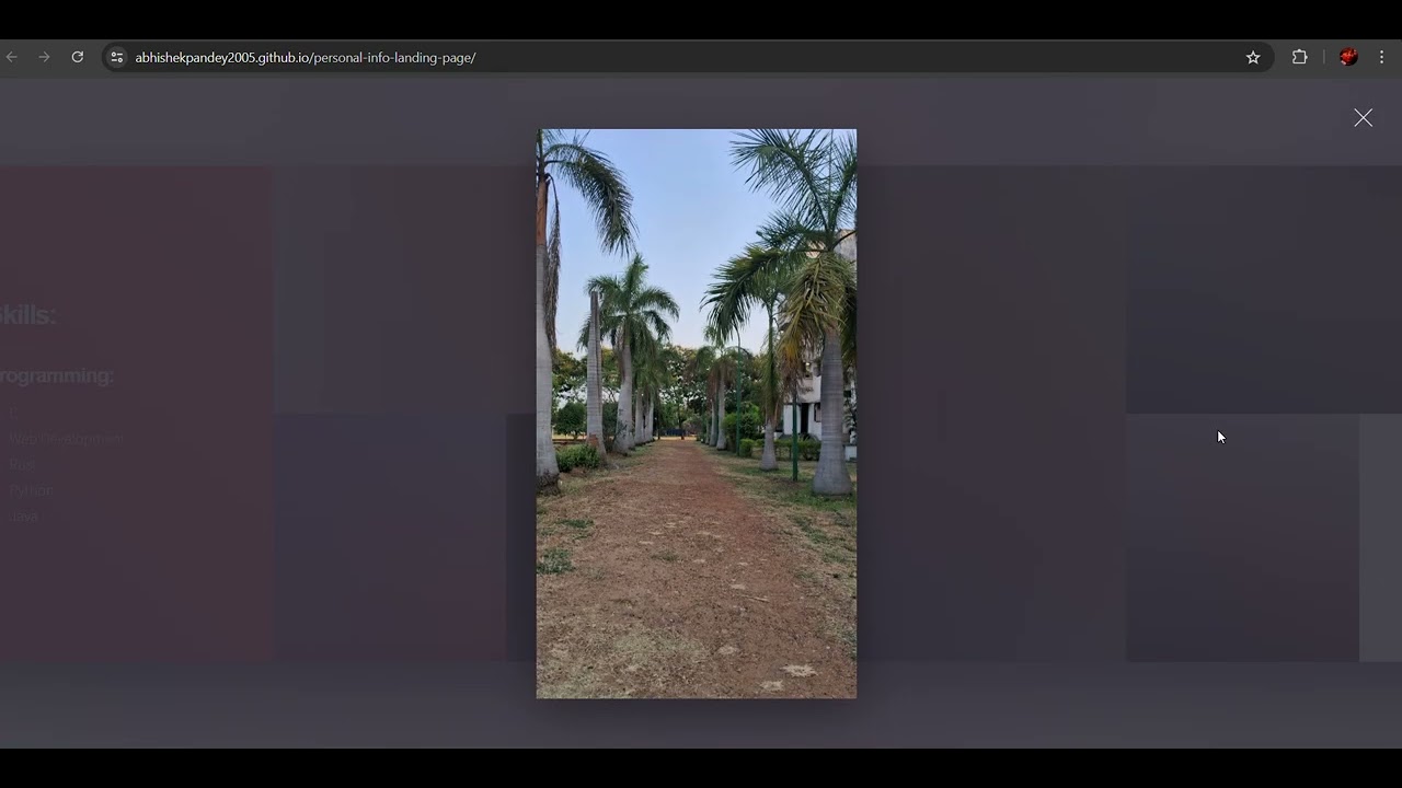 Portfolio website on github