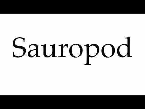 How to Pronounce Sauropod