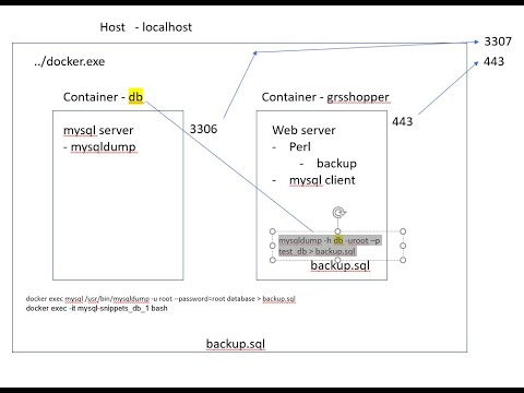 MySQL Database in Docker