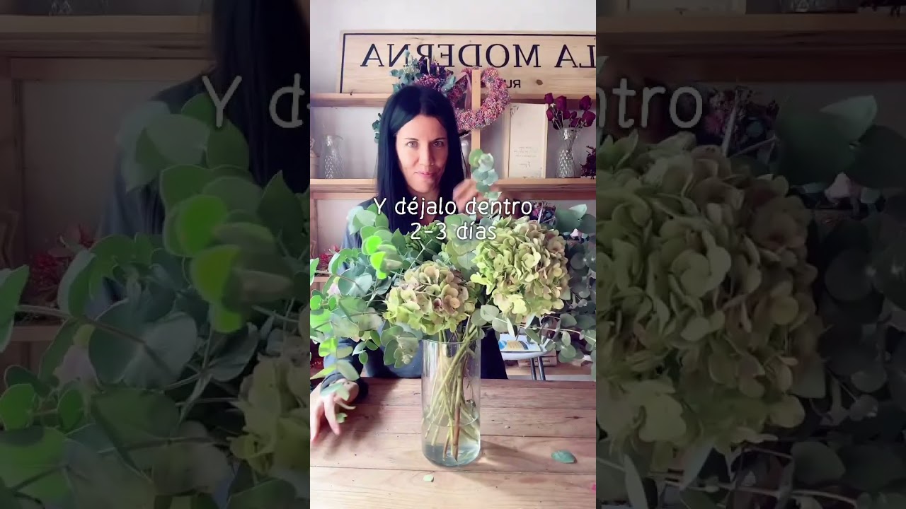 Como secar flores con glicerina. Como secar hortensias y eucalipto