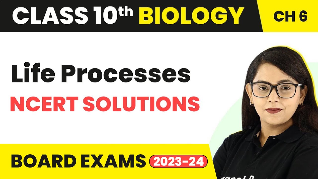 NCERT Solutions - Life Processes | Class 10th Biology