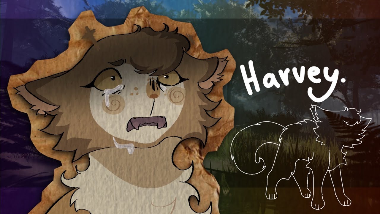 harvey (warriors oc pmv)