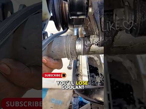 Loose Radiator Hose?