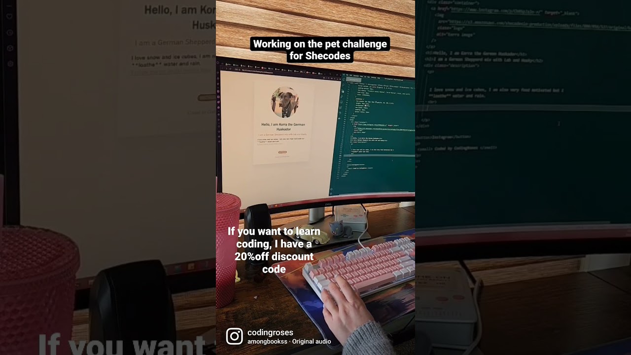 started the Pet Challenge from SheCodes. #shecodesamabassador #learncoding #womenintech #software