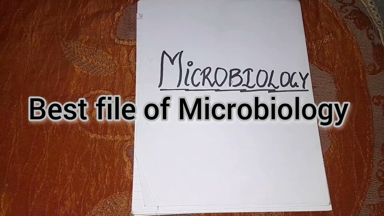 Best practical file of Microbiology download the pdf link given in description box