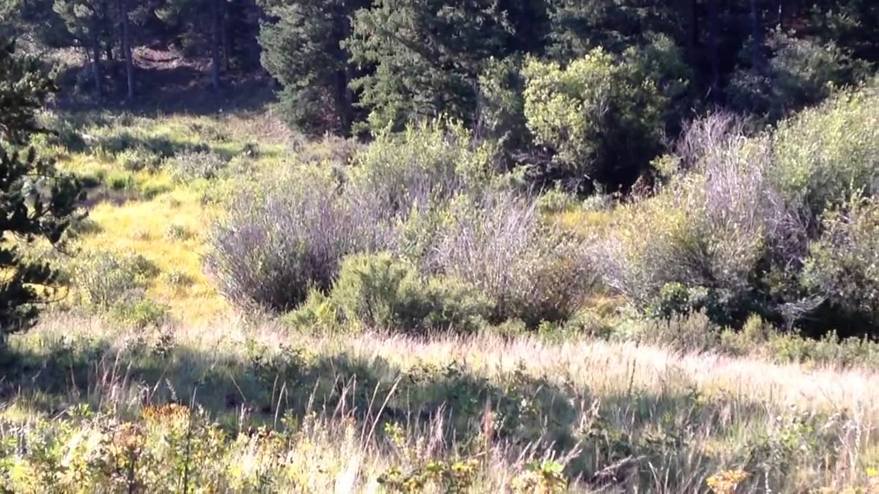 trim 41E8E936 868E 4DBD 9327 DAB6D576D6B9