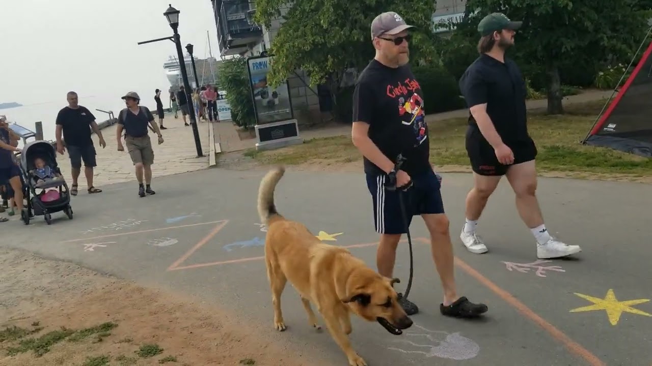 Beach volleyball, in Halifax, Nova Scotia, Canada.