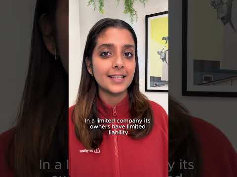 Limited liability company explained