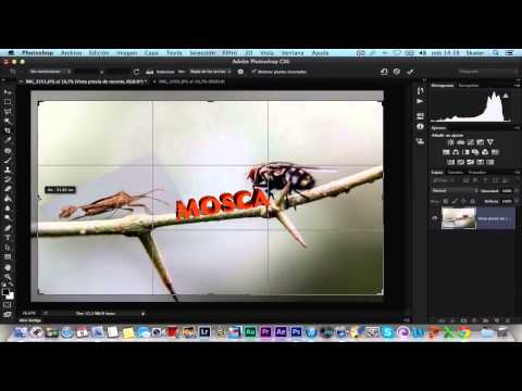 Introducción a Adobe Photoshop CS6 Como usar Photoshop CS6, Interfaz, herramientas, etc