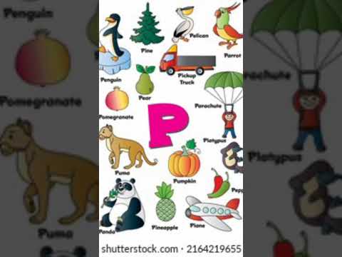 Begginers planner 18 related worksheets through video