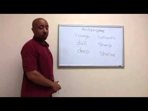Antonyms and Synonyms