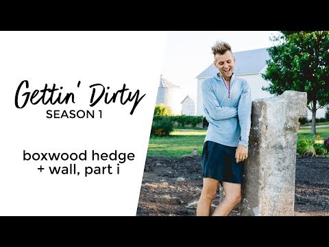 Gettin' Dirty, Episode 4: Boxwood Hedge + Wall, Part I