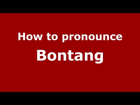 How to pronounce Bontang (Indonesia/Indonesian) - PronounceNames.com