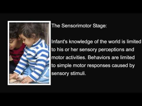 Cognitive Development of Children - Ver 2.0